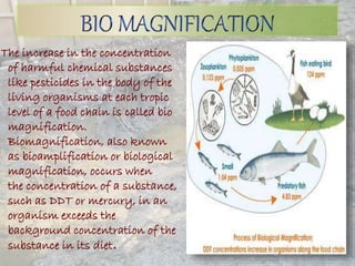 Biomagnification and 10% law | PPTX