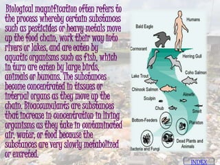 Biomagnification and 10% law | PPTX
