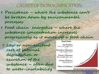 Biomagnification and 10% law | PPTX
