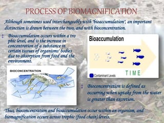 Biomagnification and 10% law | PPTX