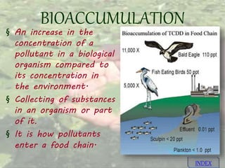 Biomagnification And Bioaccumulation