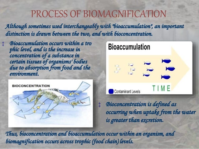 Factors Influencing Bioaugmentation And Biostimulation Processes