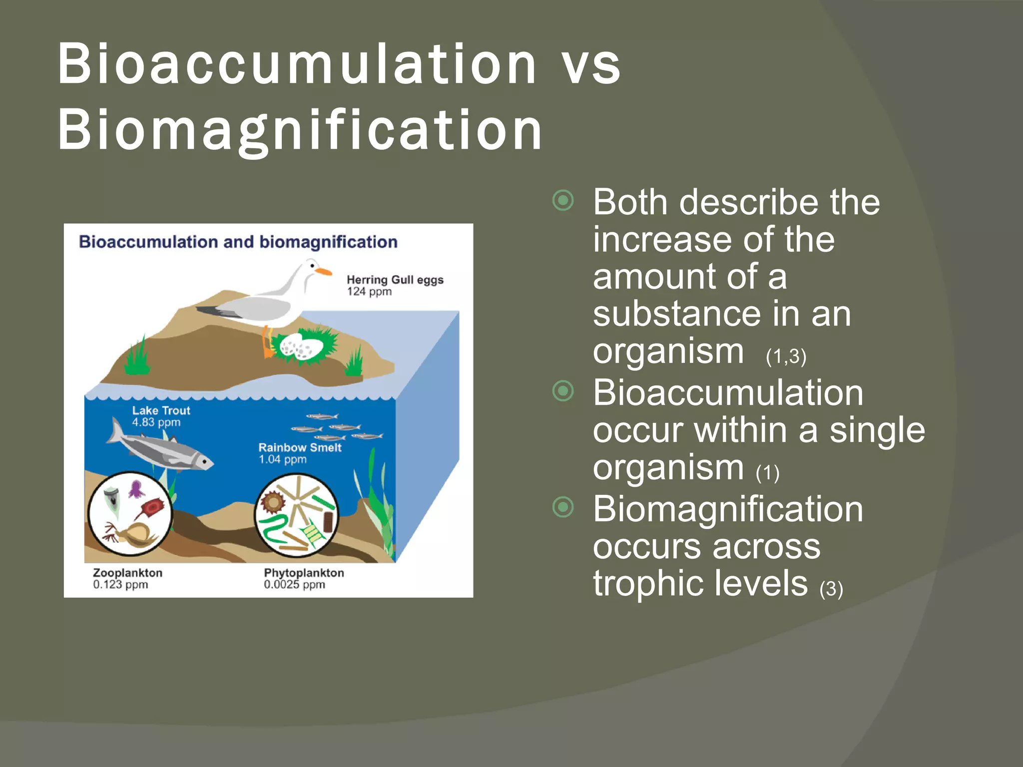 Biomagnification & bioaccumulation_2 | PPT