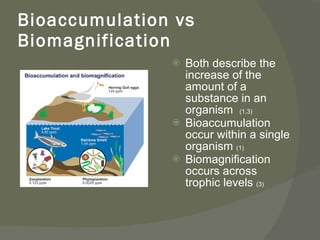 Biomagnification & bioaccumulation_2 | PPT | Chemistry | Science