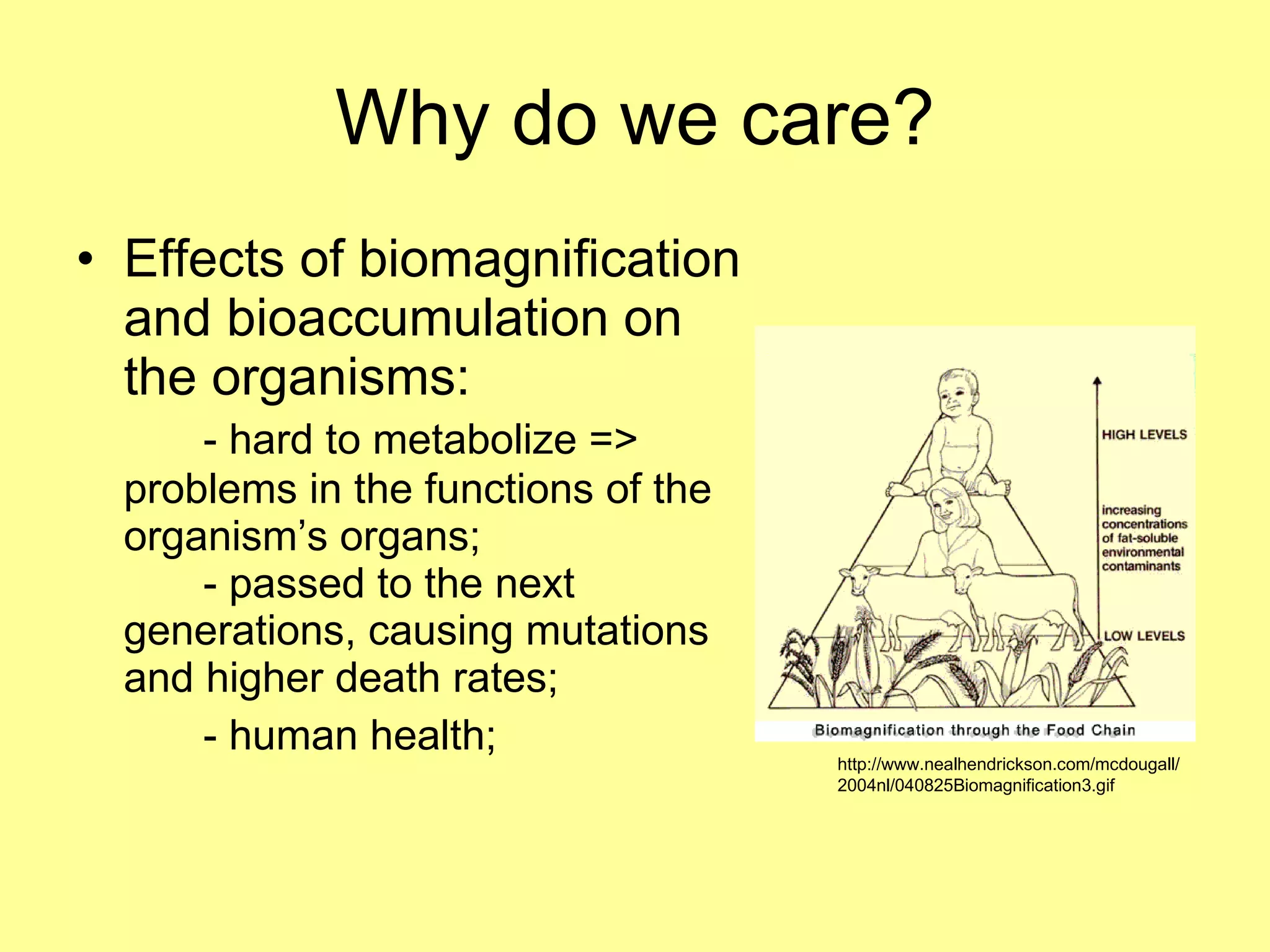 Biomagnification victoria,sylvia,violetta | PPT