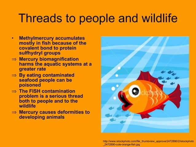 Biomagnification victoria,sylvia,violetta | PPT