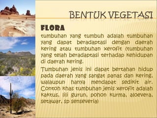 Bioma gurun-ekologi tumbuhan | PPT