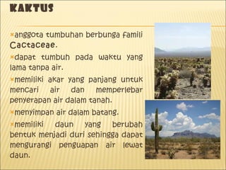 Bioma gurun-ekologi tumbuhan | PPT