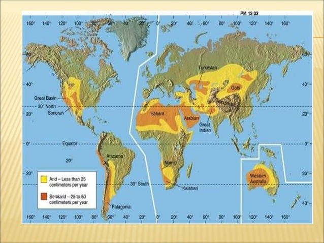 Bioma gurun-ekologi tumbuhan | PPT