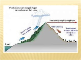 Bioma gurun-ekologi tumbuhan | PPT