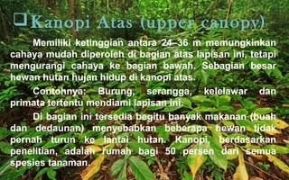 Bioma Hutan Hujan Tropis | PPT