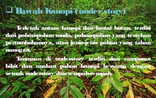 Bioma Hutan Hujan Tropis | PPT