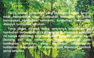 Bioma Hutan Hujan Tropis | PPT