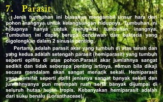 Bioma Hutan Hujan Tropis | PPT