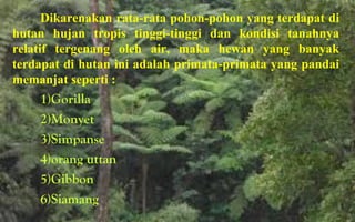 Bioma Hutan Hujan Tropis | PPT