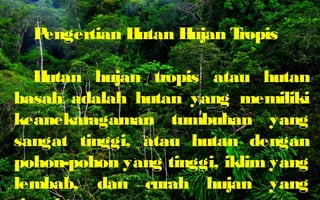 Bioma Hutan Hujan Tropis | PPT