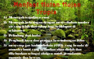 Bioma Hutan Hujan Tropis | PPT