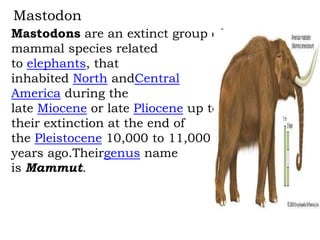 geologic time table in biology | PPT