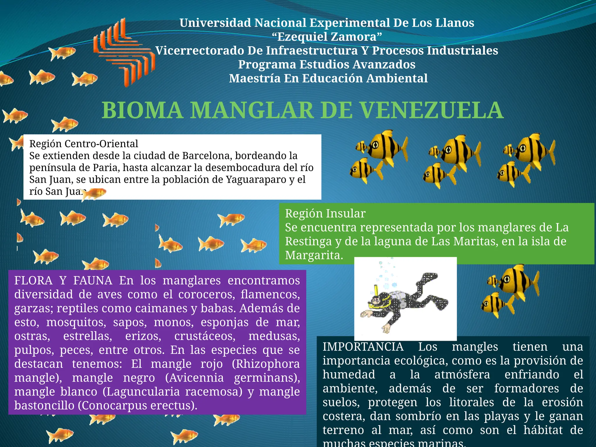 BIOMA MANGLAR. Educación Ambiental Expos | PPTX