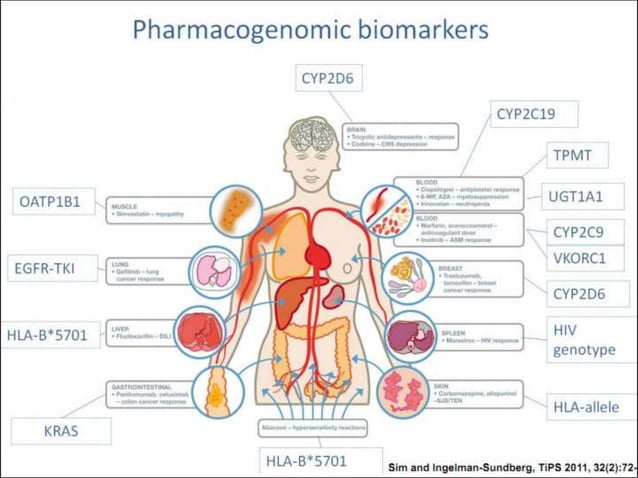 Biomarkers | PPTX