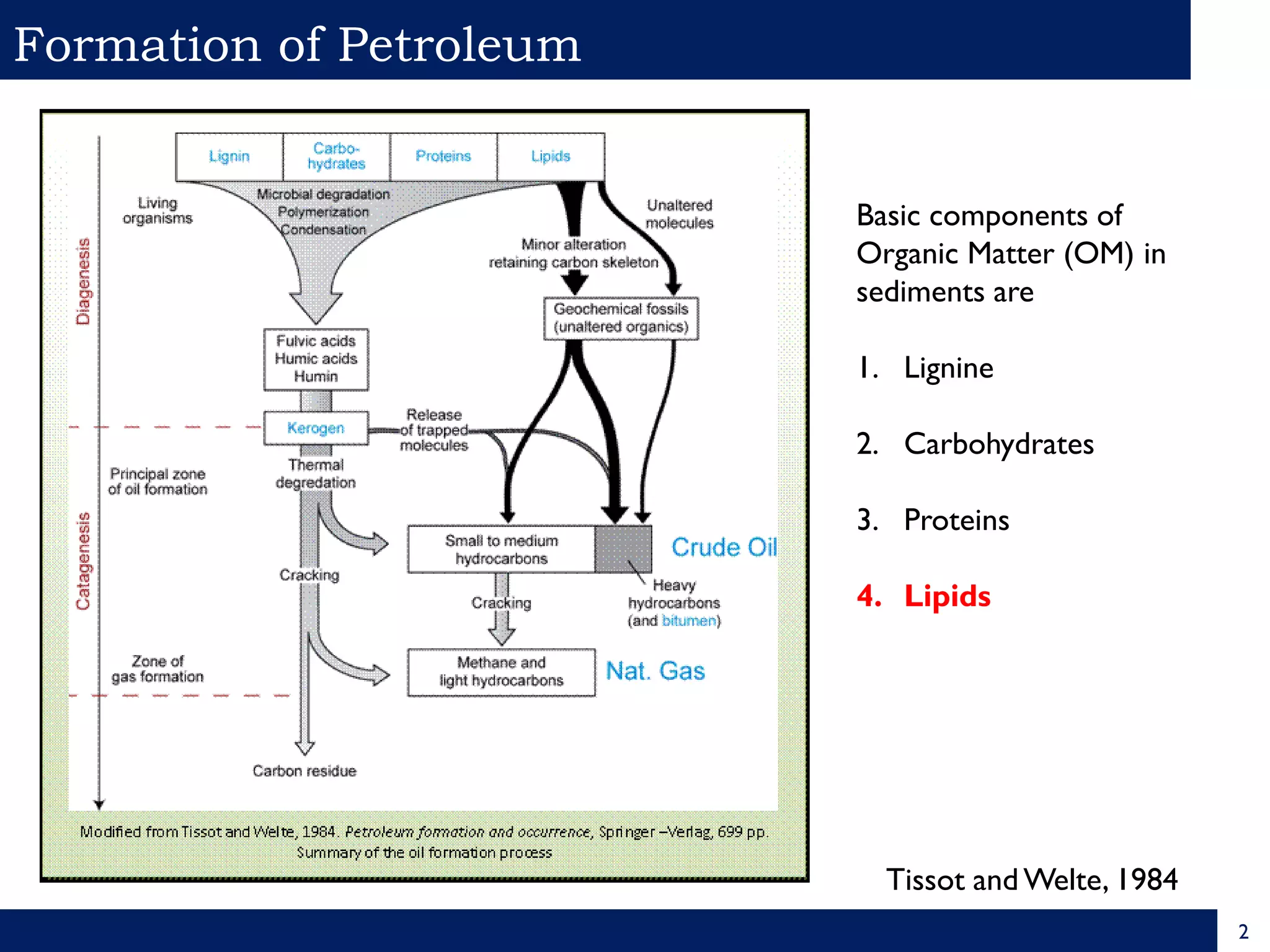Biomarkers in Petroleum Exploration | PDF