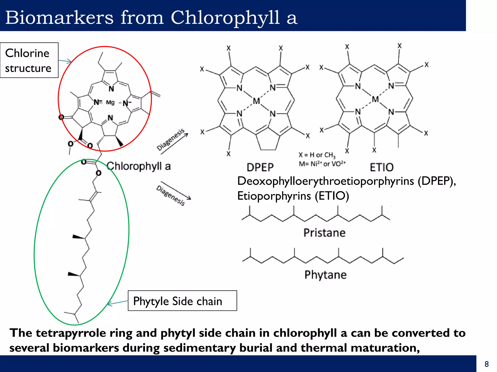 Biomarkers in Petroleum Exploration | PDF