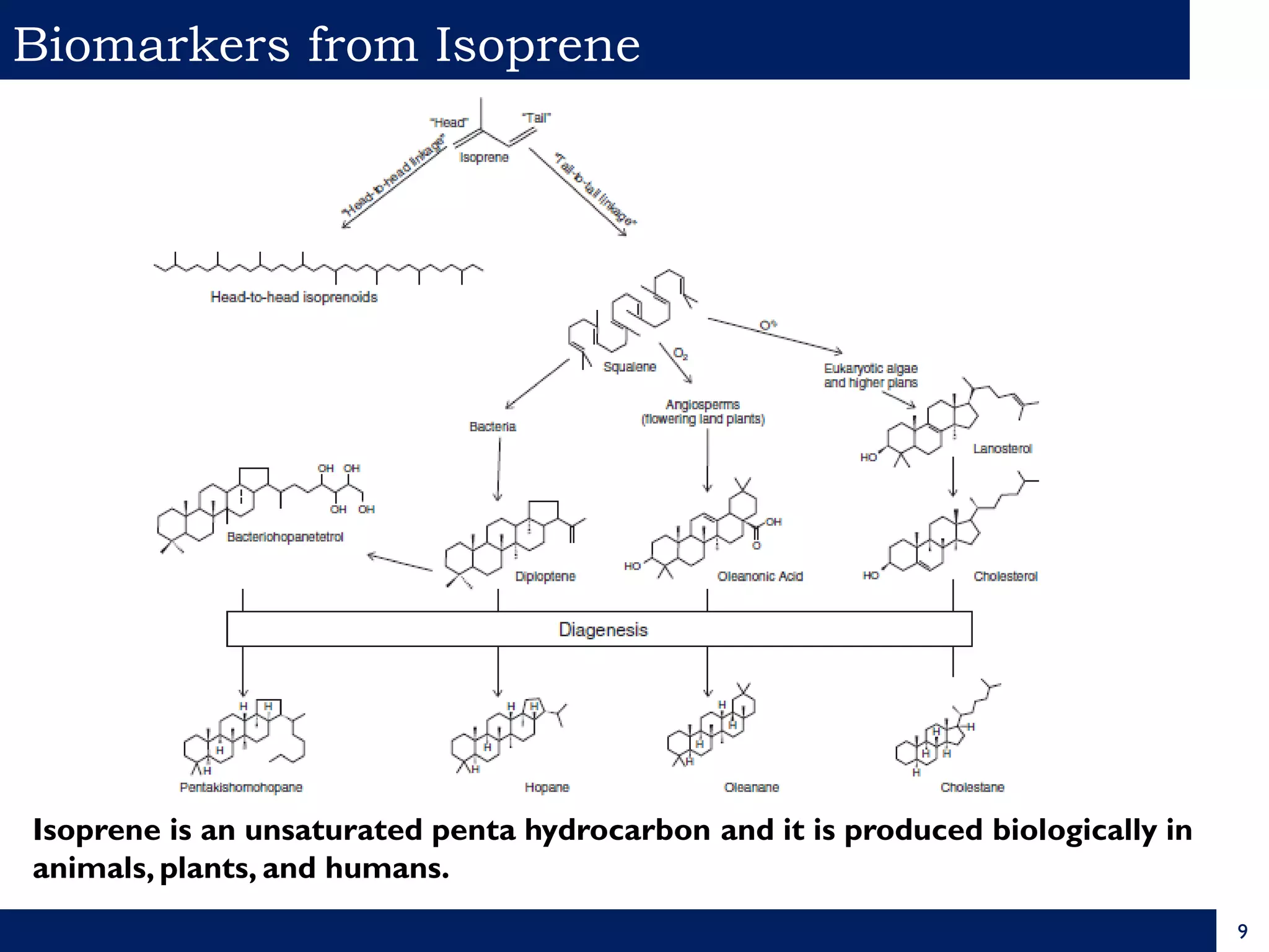 Biomarkers in Petroleum Exploration | PDF