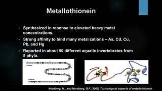 Biomarkers for environmental toxicology | PPTX