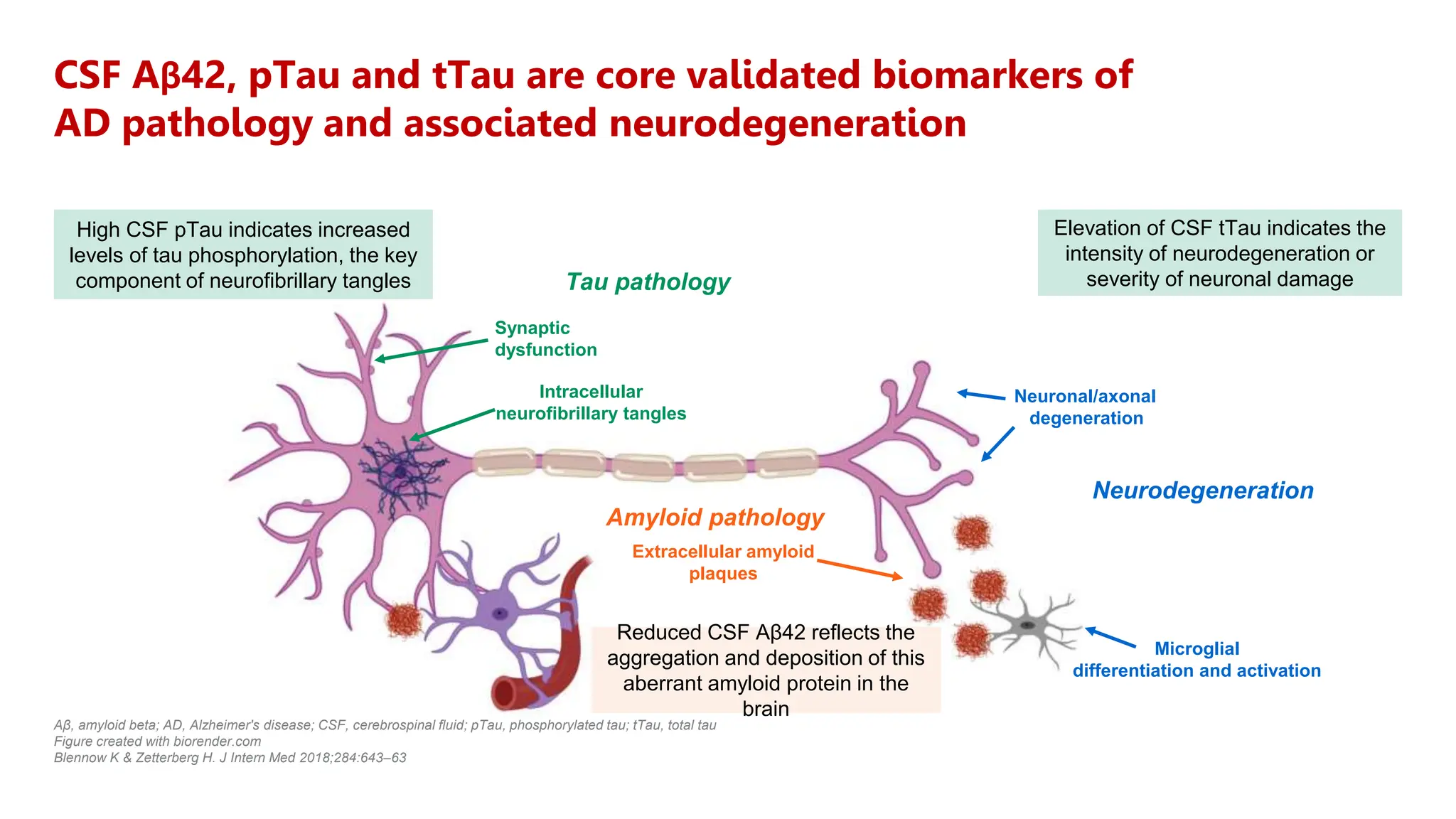 Role of Biomarkers in Alzheimers Disease | PPTX