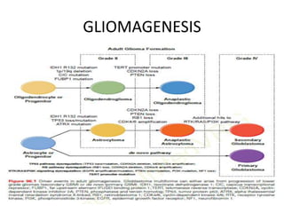 Biomarkers in gliomas | PPT