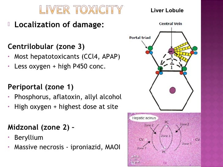 Biomarkers – in Toxicology and Clinical Research