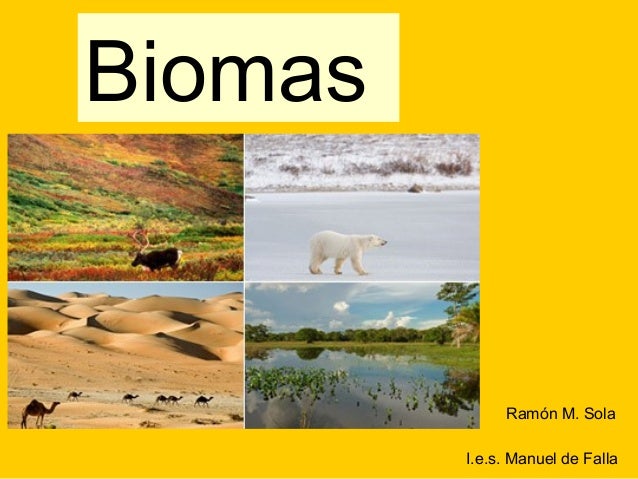 Mariel barron: REDACCION DE UN TEXTO