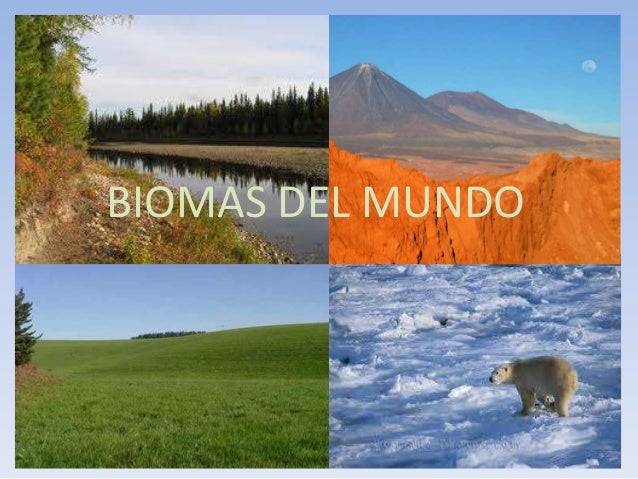 Biomas del mundo