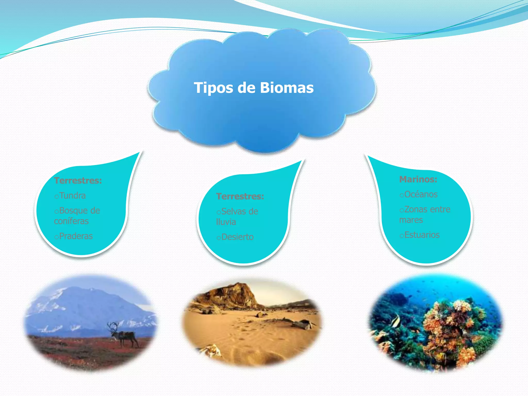 Biomas | PPT