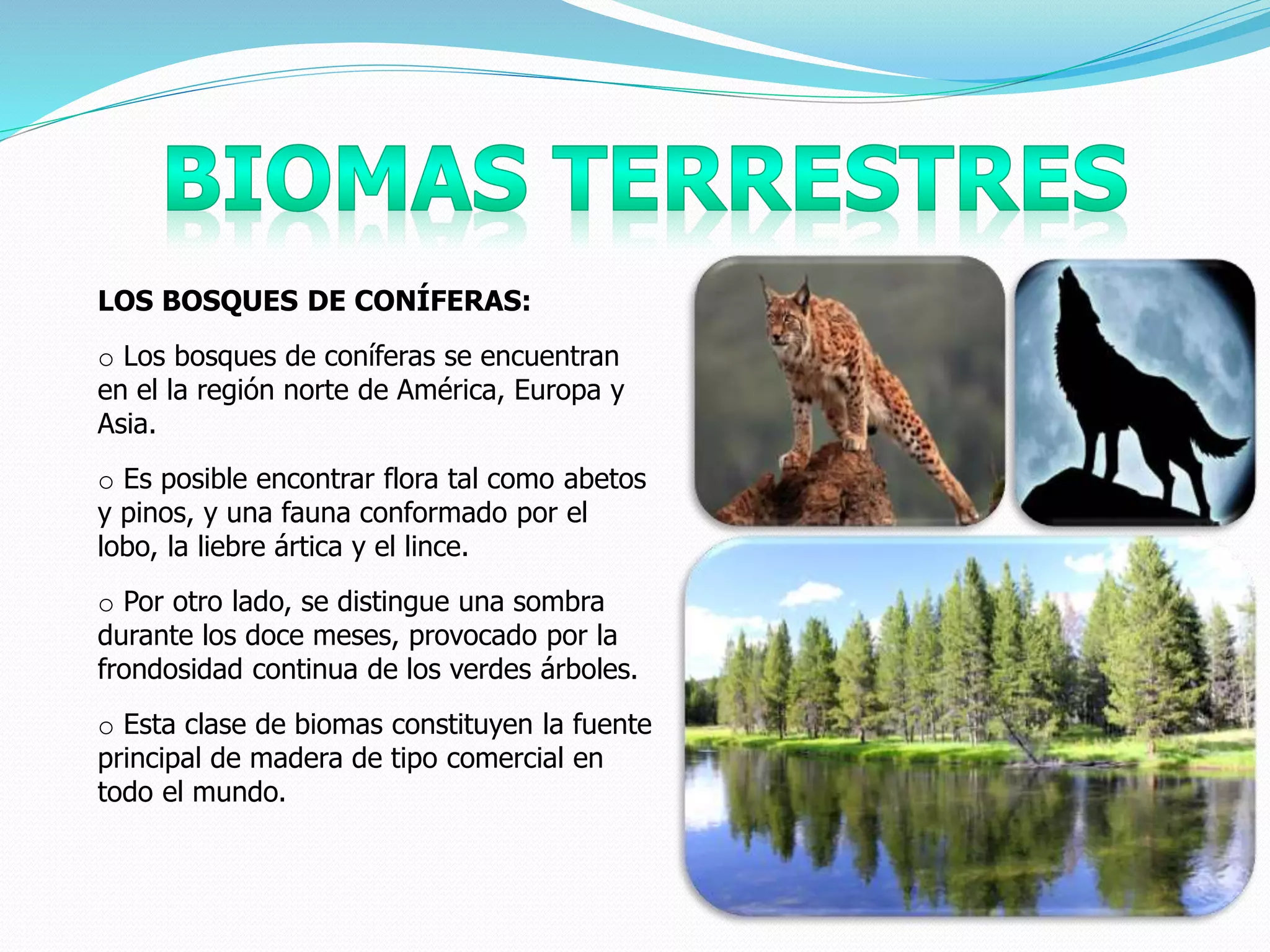 Biomas | PPT