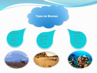 Biomas | PPTX