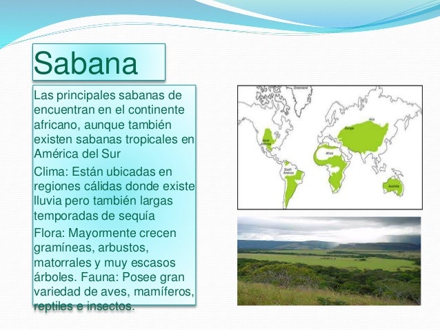 Biomas - Biomas de Venezuela