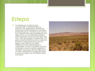 Biomas | PPT
