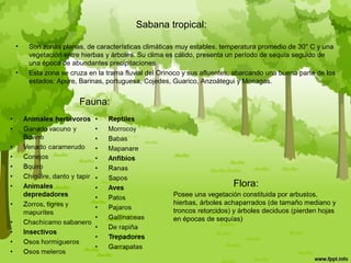 Biomas | PPT
