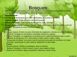 Biomas | PPT