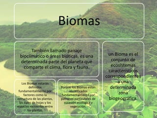 Biomas | PPTX