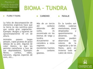 Biomas | PPTX