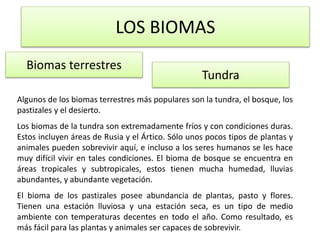 Biomas | PPTX