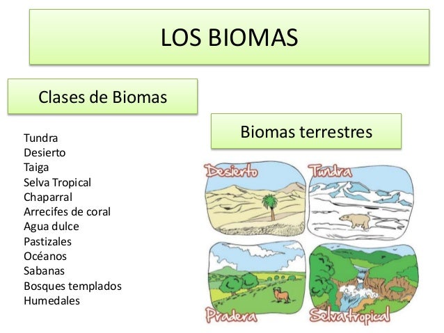 Biomas
