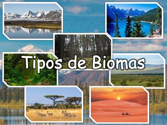 Biomas