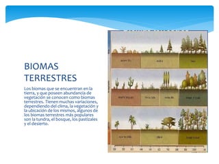 Biomas | PPTX
