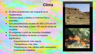 Biomas | PPTX