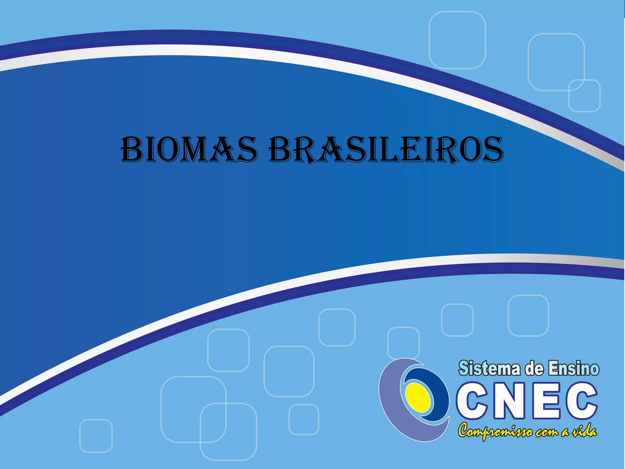 Biomas brasileiros | PPT