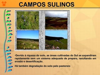 Biomas - Ciências do Ambiente parass.ppt