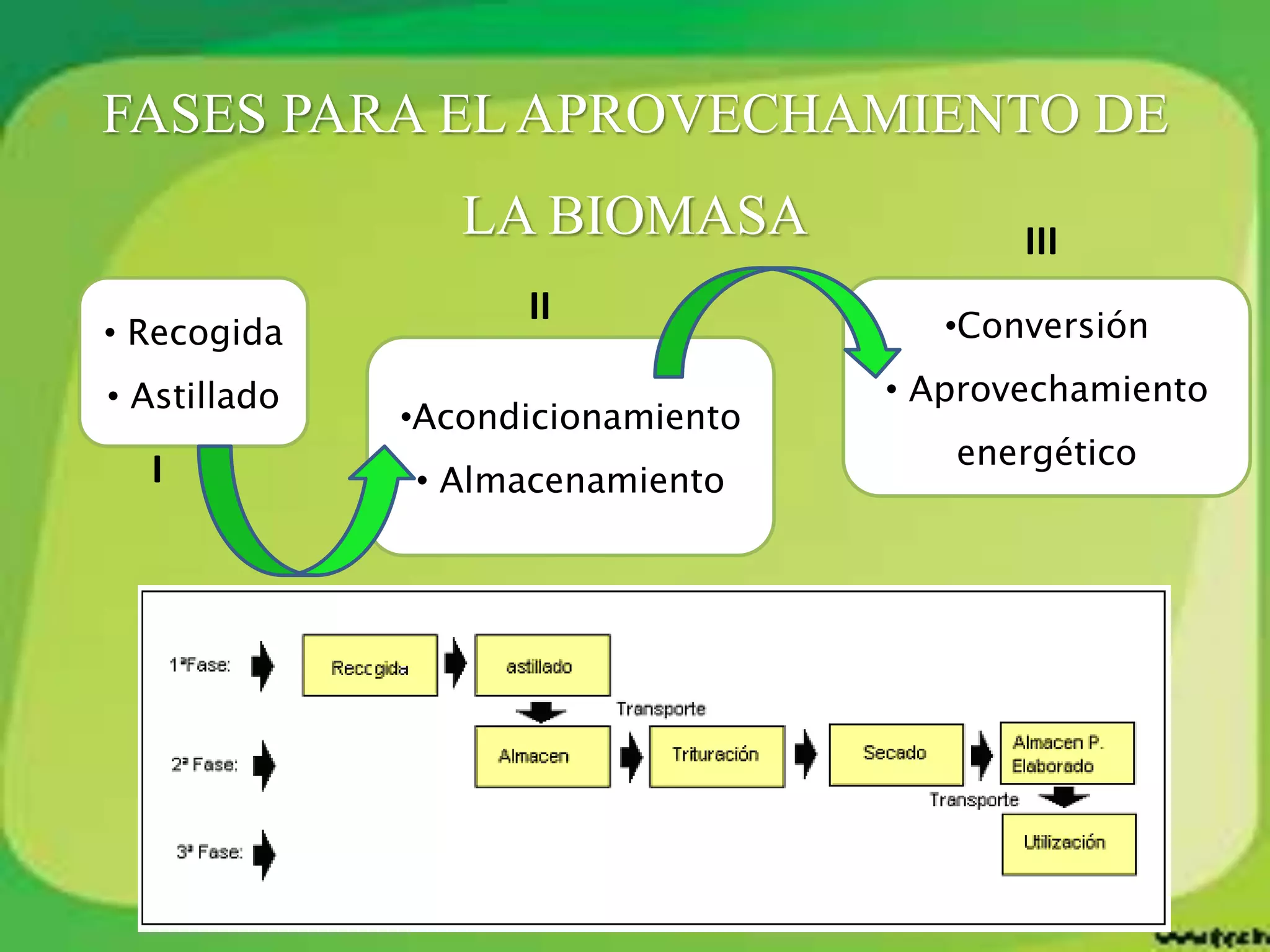 BIOMASA 1.pptx